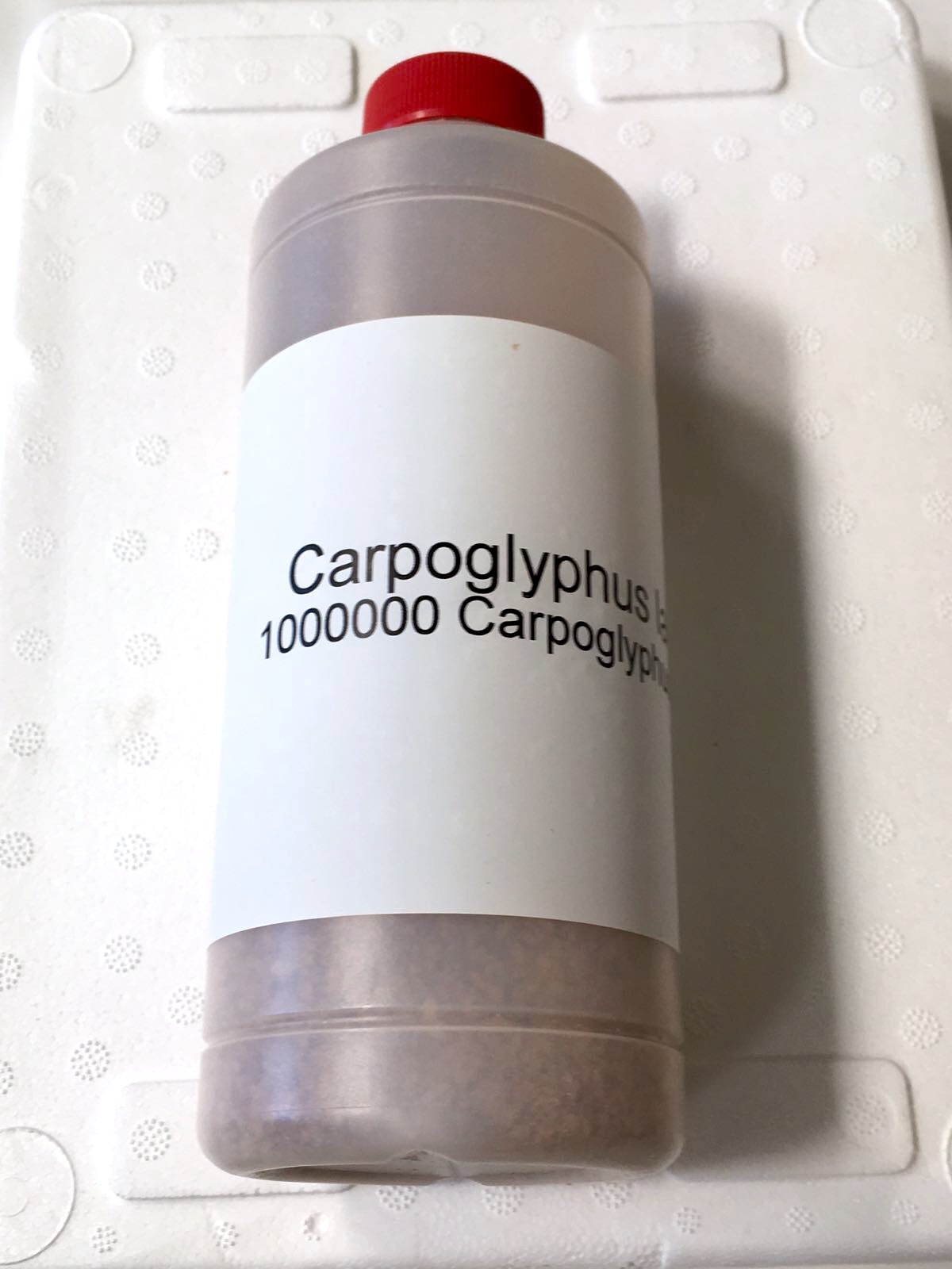 El alimento Carpoglyphus multiplica por 30 la población de 'Swirski' en ...