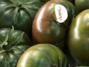 🍅TOMATE ADORA: “Posiblemente el mejor tomate del mundo”🥇