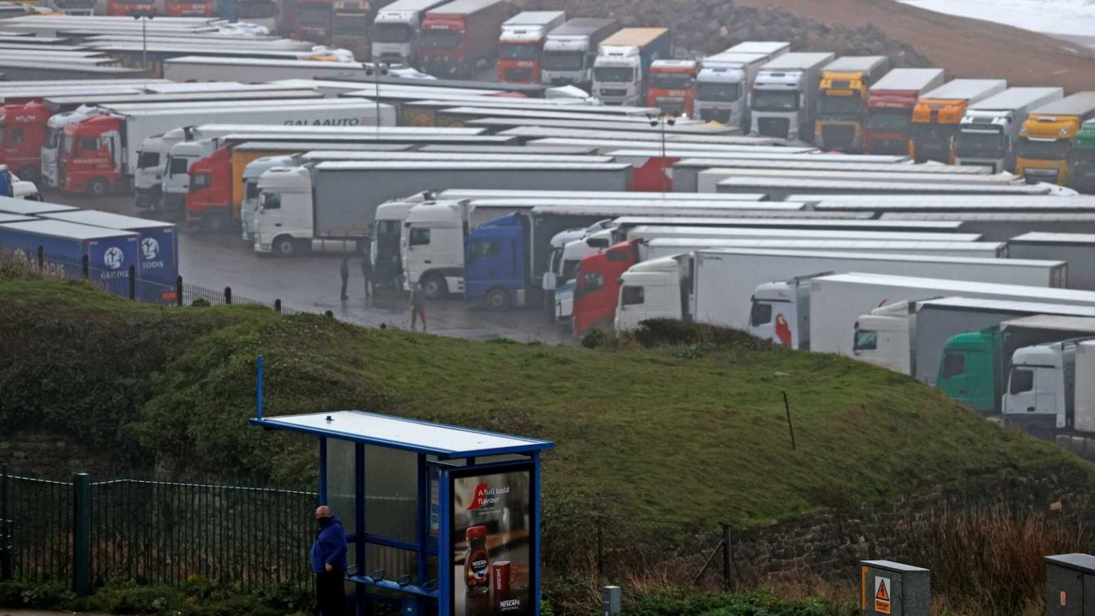 UK delays EU phytosanitary checks on fresh produce until 2027 - FruitToday