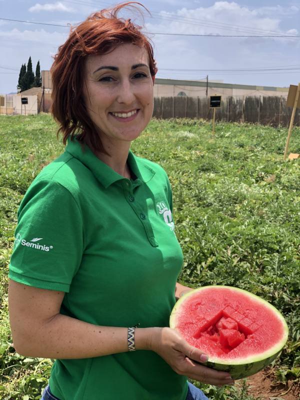 Innovación en 10 años de Melon Week