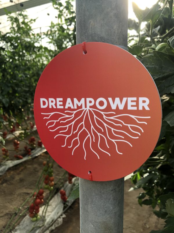 “Gana la batalla al rugoso” con BASF Nunhems