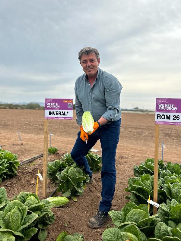 BASF | Nunhems® vuelve a la iceberg con resistencias a las nuevas razas