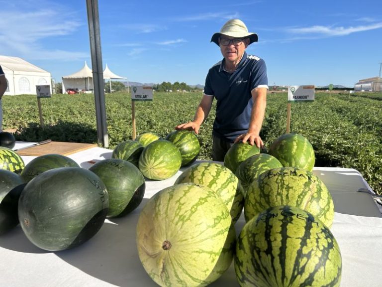 BASF|Nunhems® presenta su portfolio más 'camaleónico' de melón y sandía