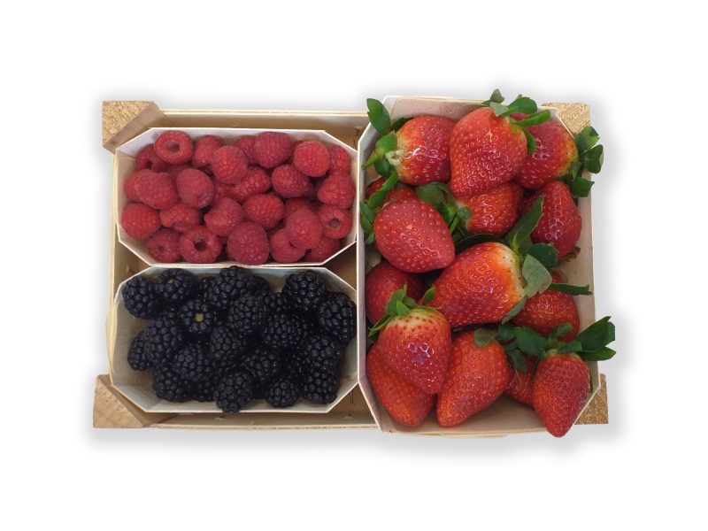 The Huelva raspberry gains momentum - FruitToday
